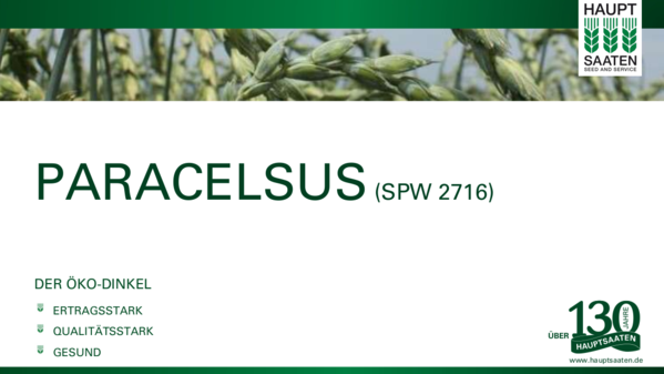Paracelsus | Hauptsaaten